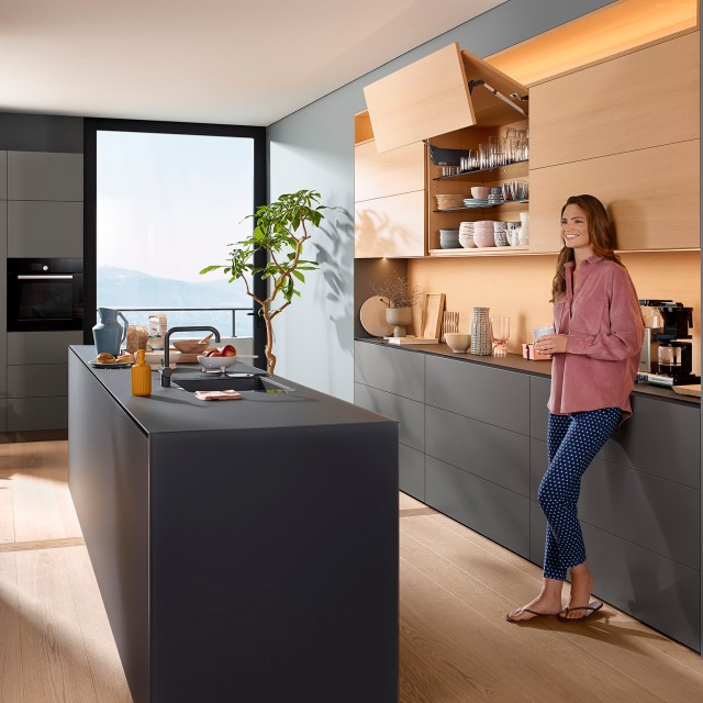 How to identify inner dividing systems | Blum