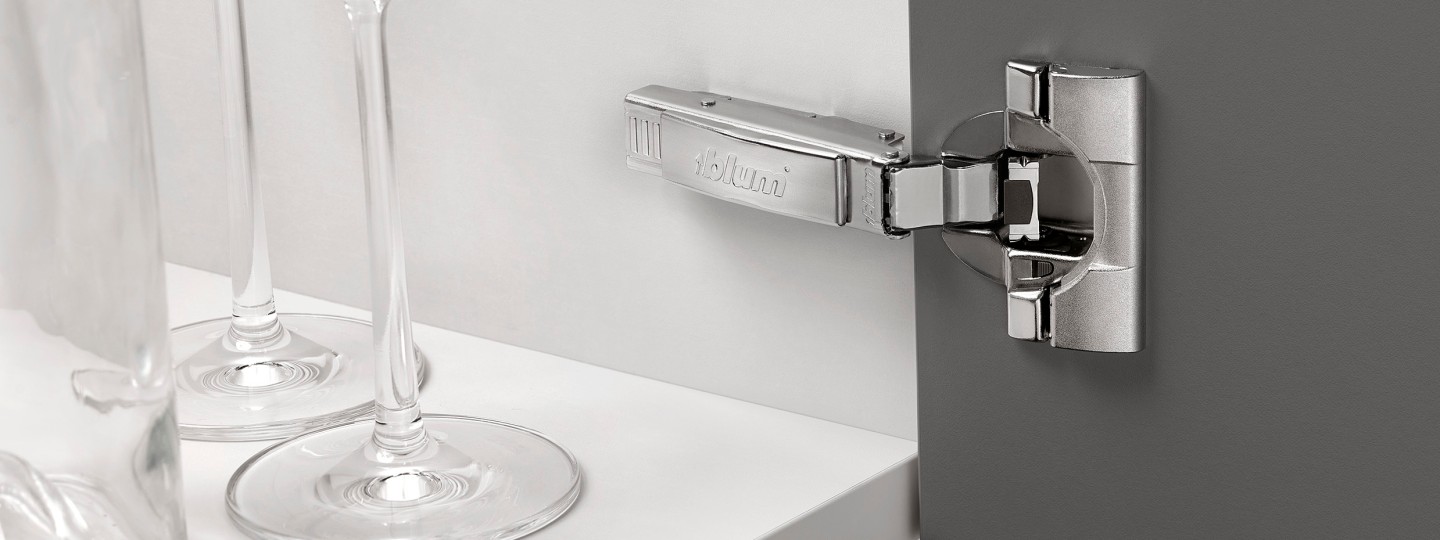 Blum Cabinet Hinges Types | Cabinets Matttroy