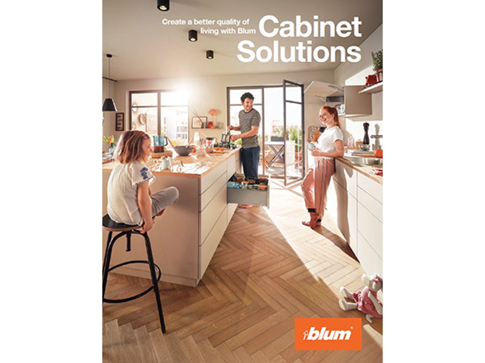 Cabinet Solutions | Blum
